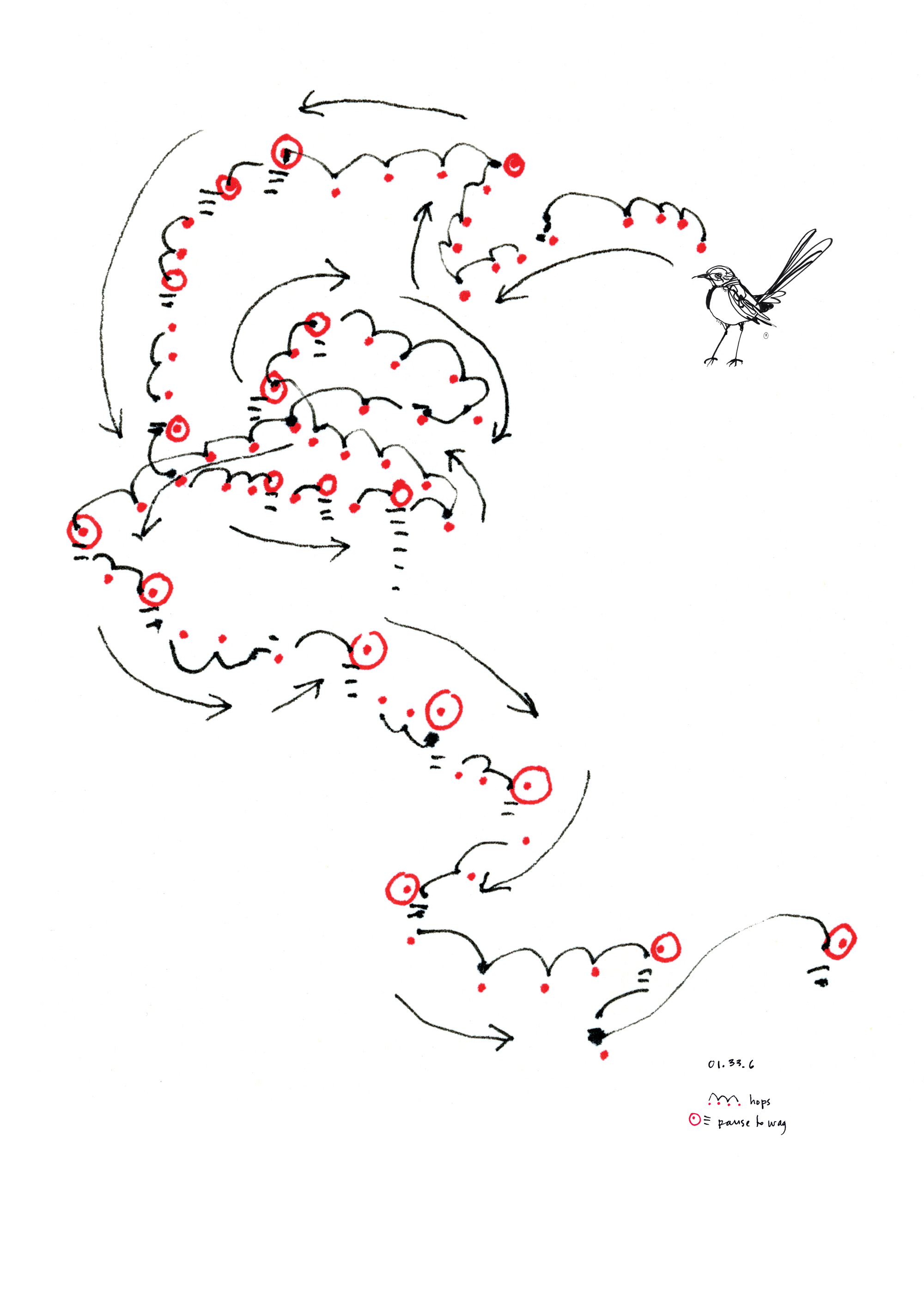 The Urban Field Naturalist Project | Willy Wagtail Hop Maps